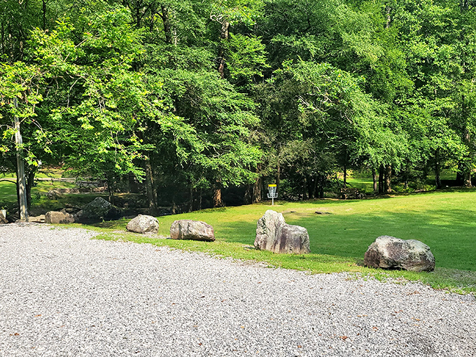 Picnic paradise awaits where manicured grounds meet wilderness, offering the perfect basecamp for Holly River adventures.