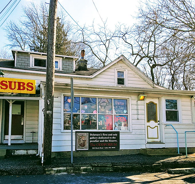 Sunlight bathes the Oddporium's facade, where an "OPEN" sign invites the curious to step into a realm where conventional thinking is optional.