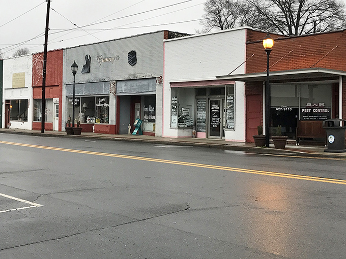 Downtown Eden's historic storefronts stand like sentinels of simpler times, their brick facades whispering stories of generations past. Small-town charm at its most authentic.