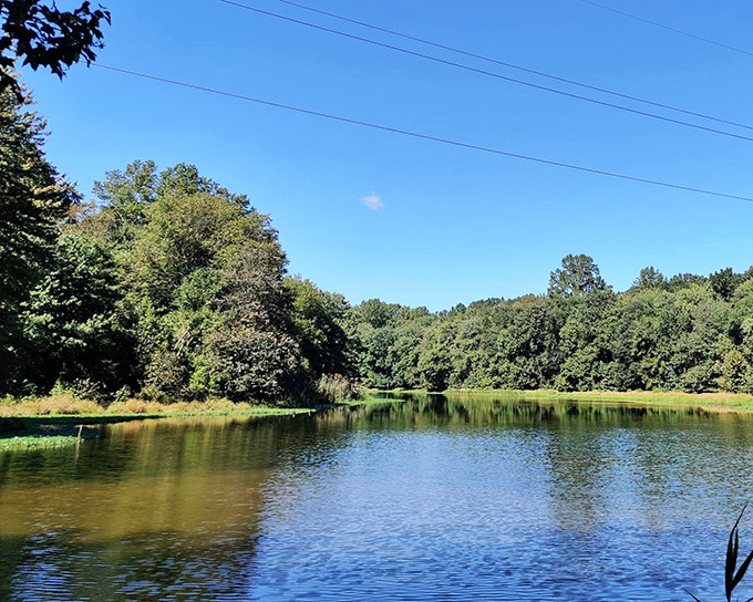 Summer's perfect reflection&mdash;this tranquil cove could convince even the most dedicated city dweller that nature is the ultimate stress reliever.