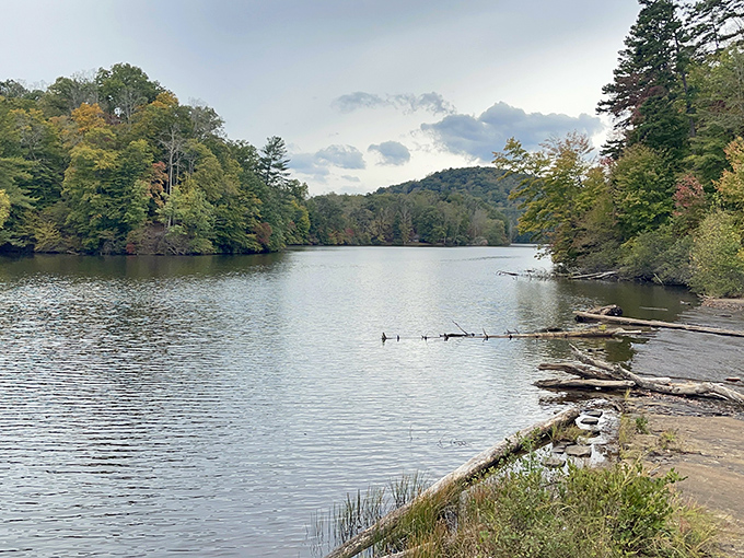 The sandy beach at Fairy Stone Lake offers that perfect "I can't believe this is in Virginia" moment. Crystal clear waters meet golden sand in a scene worthy of a travel magazine cover.