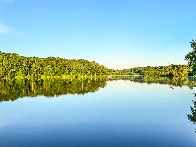 When the pond mirrors the sky this perfectly, you're basically looking at nature's own meditation app, minus the subscription fee.