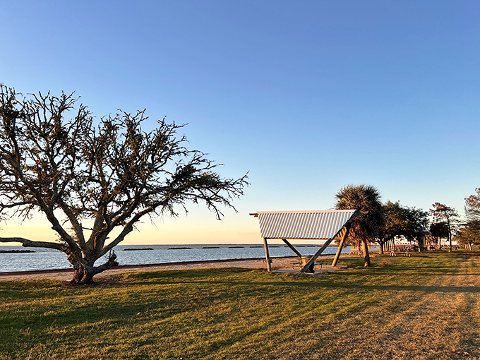Golden hour transforms this coastal haven into a painter's dream – those weathered trees standing sentinel as if guarding Louisiana's best-kept secret.