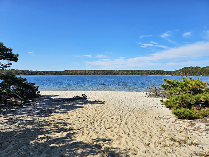 Mother Nature's beach day invitation comes with no fine print &ndash; just impossibly blue water, soft sand, and the gentle whisper of pine trees.
