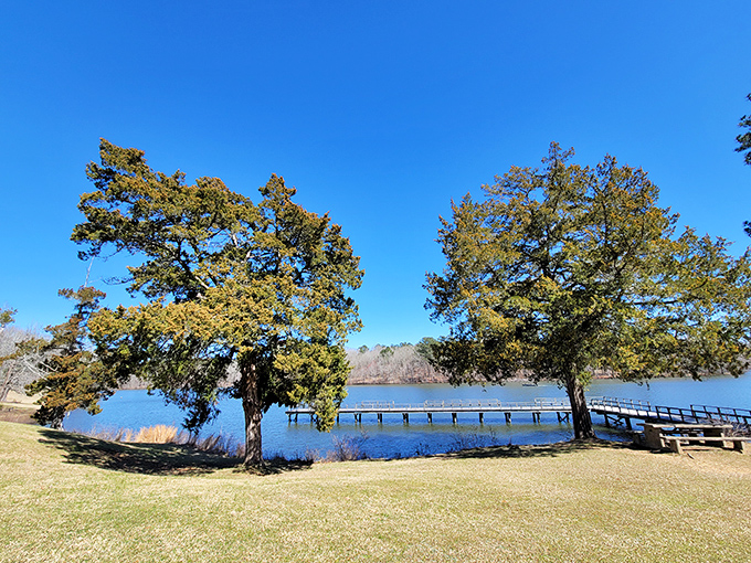 Mother Nature's infinity pool! The serene waters of Lake Lowndes stretch between majestic pines, offering a front-row seat to Mississippi's most peaceful show.