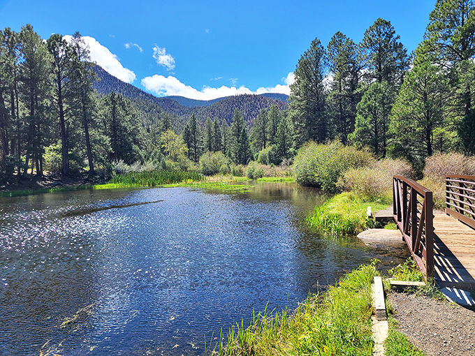 Where tranquility meets majesty! The wooden bridge invites you to pause and soak in Cimarron Canyon's perfect harmony of water, forest, and mountain &ndash; nature's ultimate stress reliever.