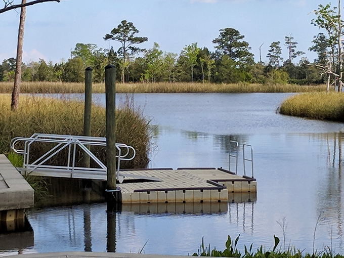 Mother Nature's infinity pool! The pristine waters of Ochlockonee River stretch toward the horizon, offering a swimming experience no resort can match.