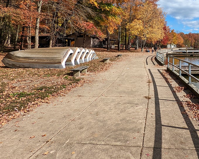 Fall's golden hour transforms the boat launch area into nature's runway, where upturned canoes wait patiently for their next adventure.