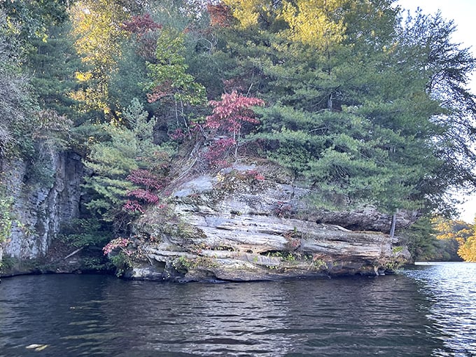 Dramatic sandstone cliffs meet crystal waters at Lake Malone, creating nature's perfect mirror. Kentucky's version of a fjord, minus the Vikings and freezing temperatures.