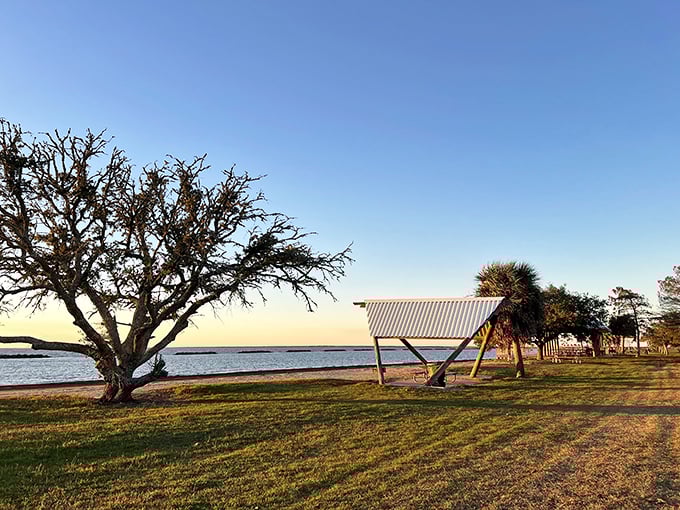 Golden hour transforms this coastal haven into a painter's dream – those weathered trees standing sentinel as if guarding Louisiana's best-kept secret.