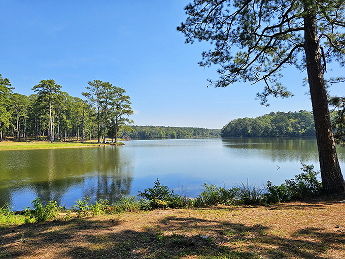 Mirror, mirror on the lake! The glassy waters of Lake Lowndes reflect towering pines and blue skies, creating nature's perfect infinity pool.