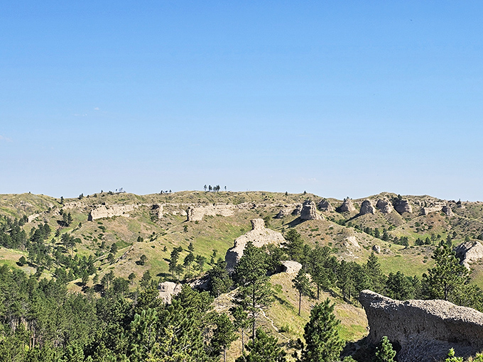 The rugged buttes of Pine Ridge rise dramatically from the plains like nature's version of a plot twist. Who knew Nebraska had such geological swagger?