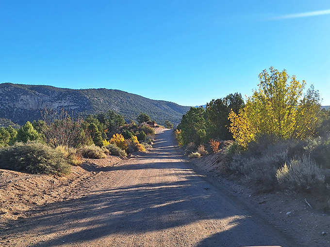 The road less traveled leads to the greatest rewards. Nature's welcome mat unfurls with golden aspens standing guard along this serene dirt path.
