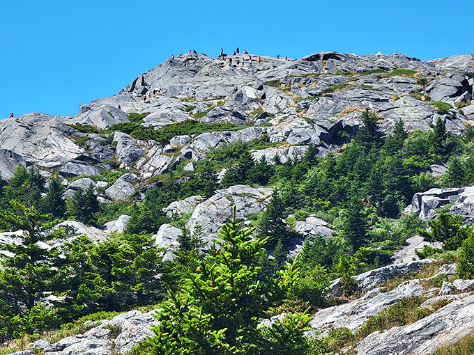 Exposed granite faces and evergreens create Monadnock's distinctive profile, where ancient rock formations meet vibrant forest life.