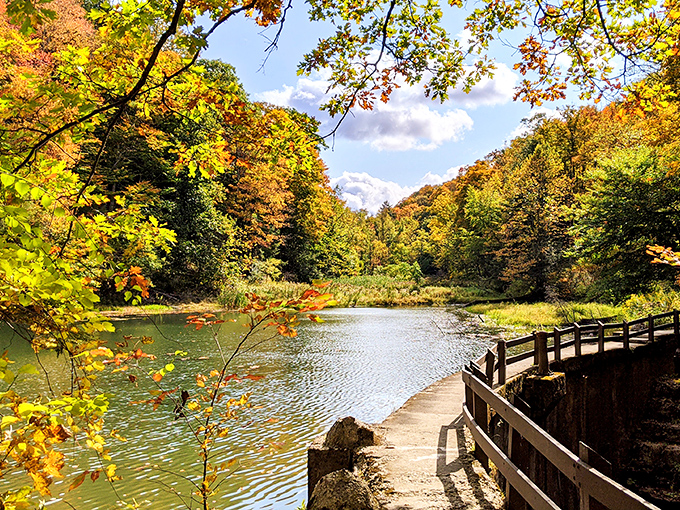 Nature's color palette goes wild in fall, turning this peaceful pond view into a masterpiece that would make Bob Ross reach for his brushes.