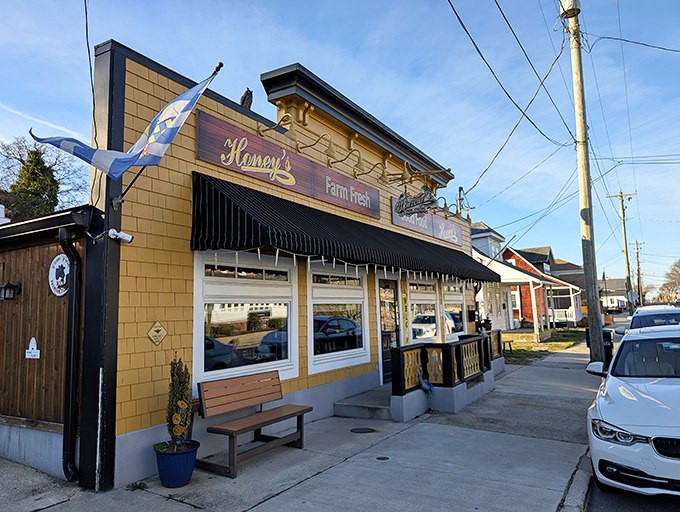Delaware's flag flutters proudly outside this coastal gem, where breakfast dreams come true one omelet at a time.