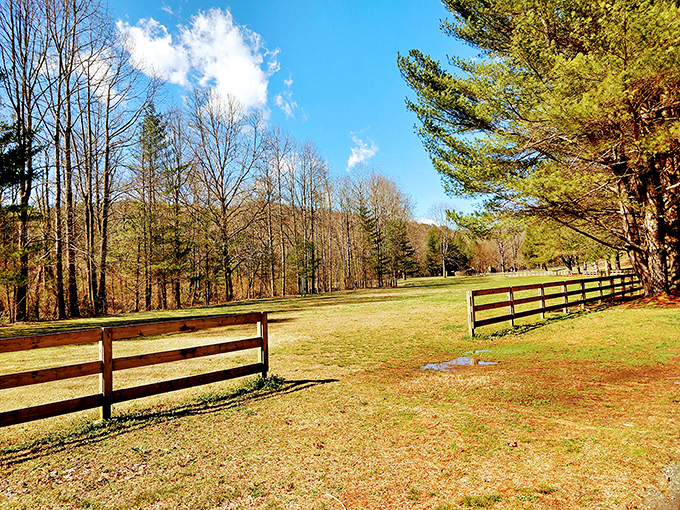 Nature's perfect canvas unfolds at Smithgall Woods, where open meadows meet forest edges under Georgia's brilliant blue skies.