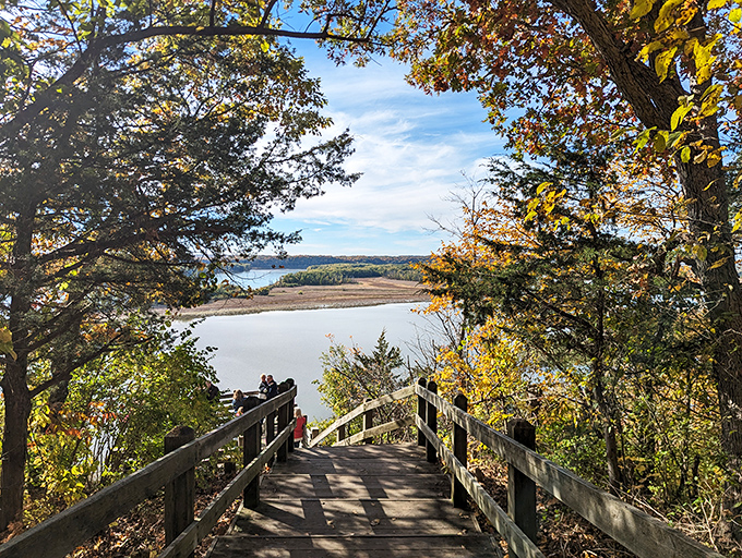Nature's perfect frame! Wooden steps descend through autumn-kissed trees toward the mighty Mississippi, where water and sky perform their daily dance of light.
