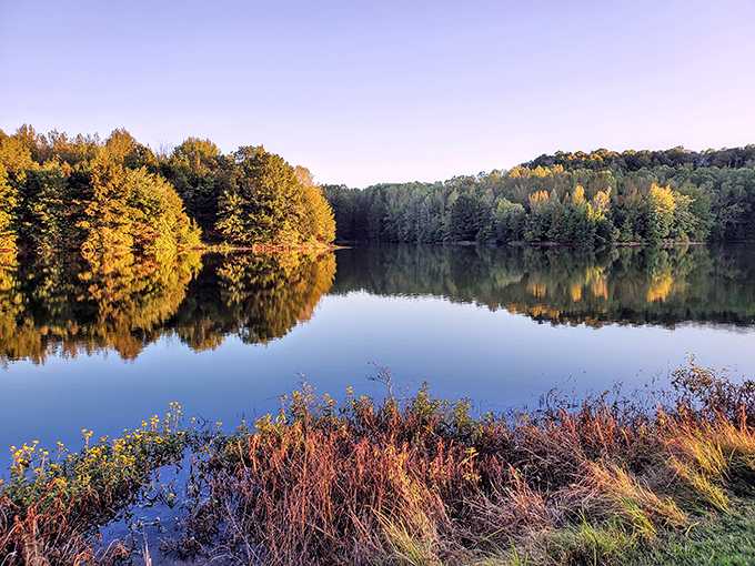 Golden hour magic reflecting perfectly on the water at Ferne Clyffe State Park. A gorgeous Illinois hidden gem.