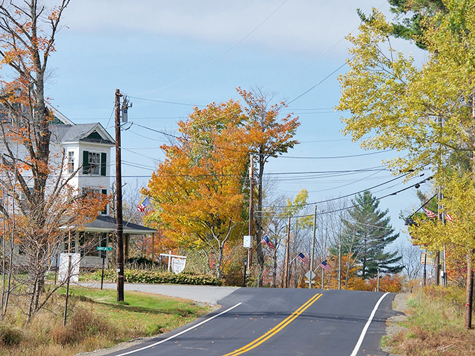 Autumn in Sugar Hill isn't just a season&mdash;it's a masterpiece painted with nature's most vibrant palette. Classic New England charm at its finest.