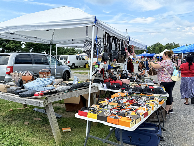 Treasure hunters navigate the maze of vendor tables, where one person's castoffs become another's prized possessions. The thrill of the hunt is real!