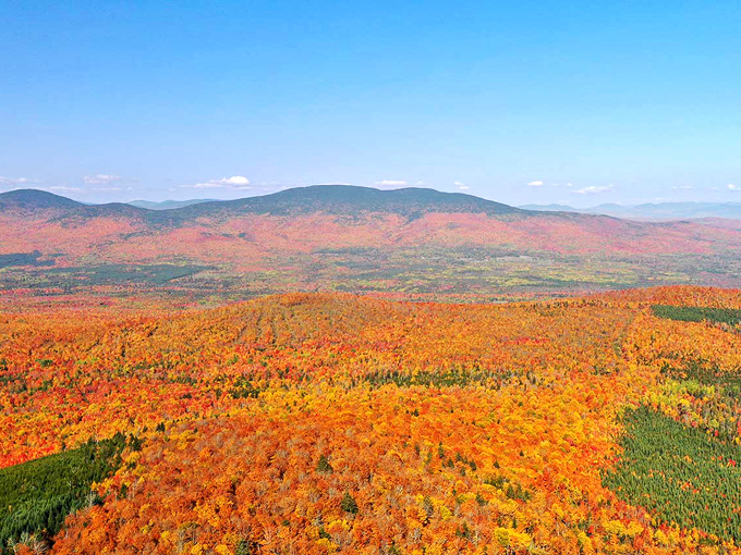 Fall in Maine isn't a season, it's a celebration. The trees dress in their Sunday best and throw a color party that lasts for weeks.