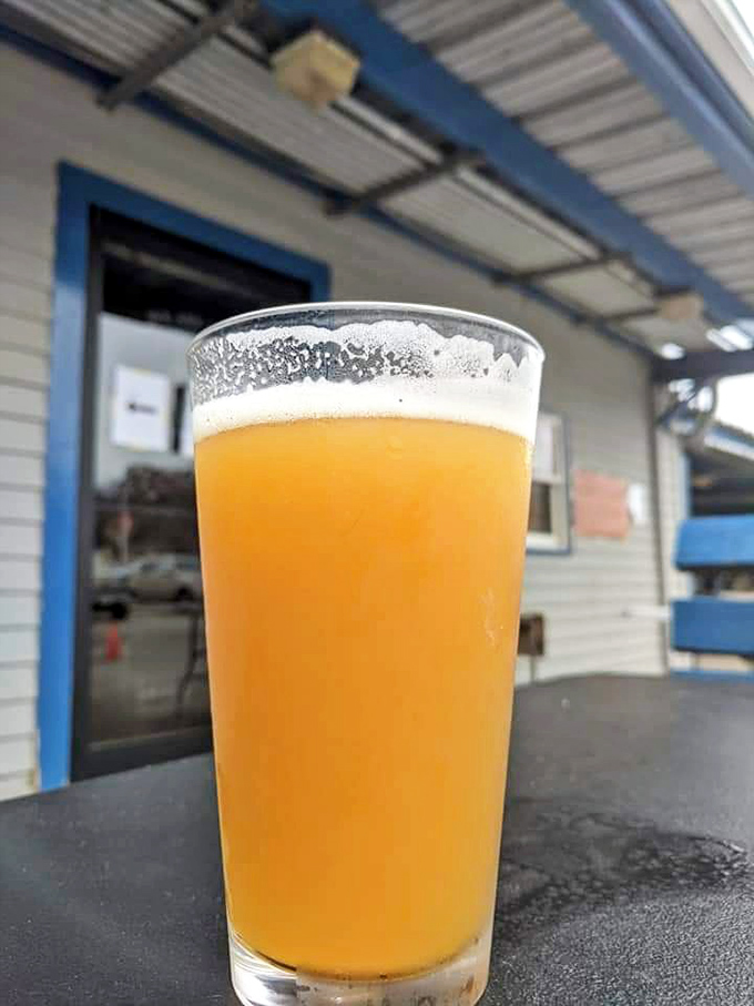 A perfectly poured craft beer, catching sunlight like liquid gold – the ideal companion for smoke-kissed meats.