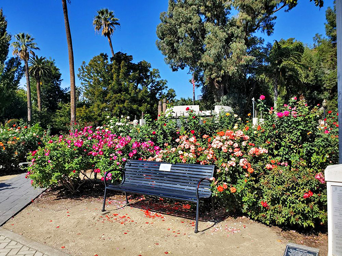 A perfect spot for contemplation: this bench offers front-row seats to nature's most spectacular show, with no ticket required.