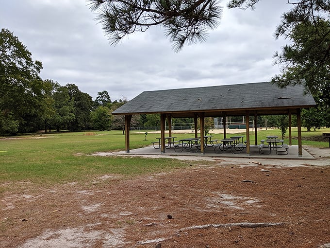 Berkeley Park's picnic shelter stands ready for community gatherings, family reunions, and impromptu picnics &ndash; all without the hassle of maintaining your own backyard.