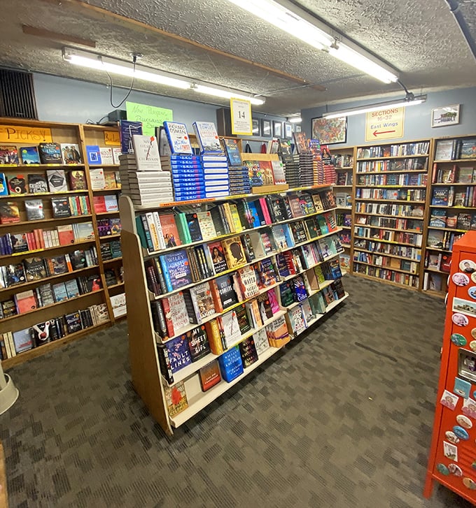 Cozy bookstore aisles filled with colorful reads and new favorites, creating the perfect spot to browse, unwind, and discover stories.