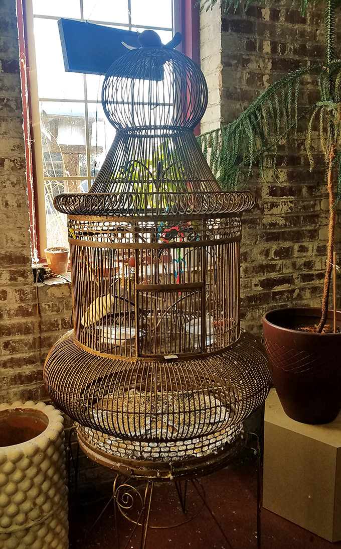 Victorian birdcage that's either perfect home decor or the fanciest escape room a parakeet has ever contemplated.