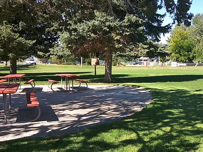 Red picnic tables under towering pines create the perfect spot for contemplating life's big questions&mdash;or just enjoying a sandwich without emails.