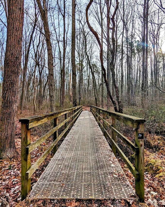 Winter's boardwalk offers a different kind of beauty&mdash;stark, honest, and quietly spectacular, like finding unexpected poetry in everyday life.