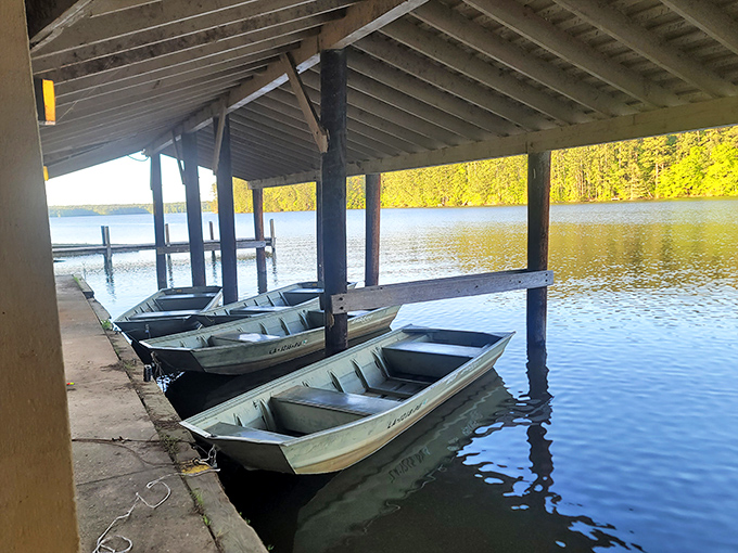 The boat dock welcomes watercraft of all sizes, from fancy fishing rigs to that inflatable raft you impulse-bought last summer.