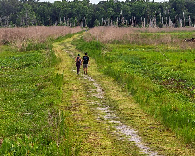 Two hikers venture into Paynes Prairie's vast wilderness &ndash; proof that Florida's natural beauty extends far beyond its famous beaches.