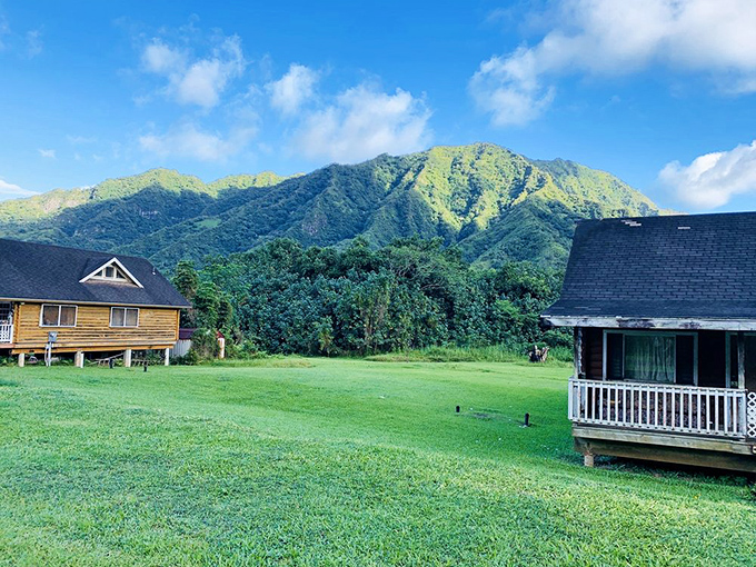These cabins don't just offer a place to stay &ndash; they offer a front-row seat to the greatest show on earth: Hawaiian wilderness.
