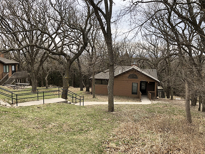 Rustic cabins nestled among bare trees offer cozy retreats where "roughing it" still includes indoor plumbing and actual beds.
