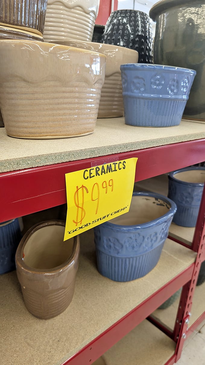 Ceramic planters with personality for less than your morning latte. Plant parents, prepare your carts for some serious pottery adoption.