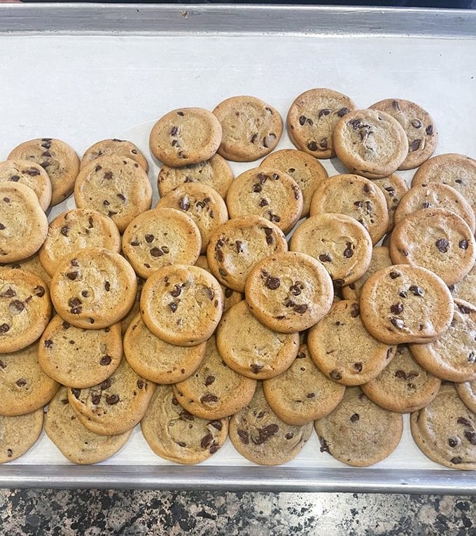 Chocolate chip cookies stacked like golden coins in a treasure chest of baked happiness.