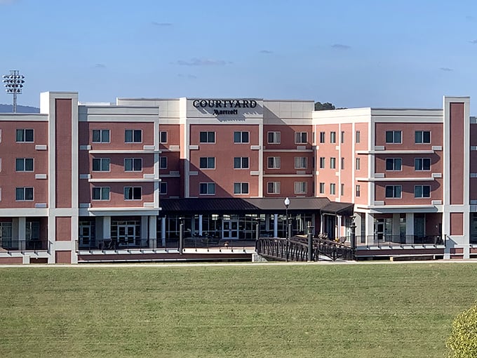 Modern accommodations that prove affordable doesn't mean sacrificing comfort or pretending futons are acceptable furniture for adults over forty.