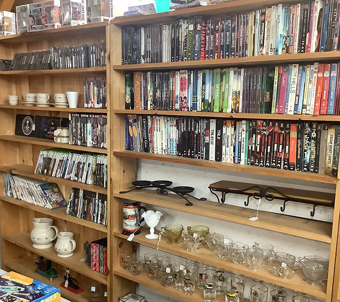 From classic films to forgotten gems, these shelves offer entertainment archaeology at its finest.