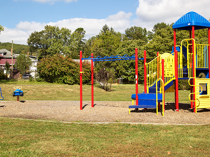 Colorful playground equipment brings a splash of joy to East River Park, where the laughter of children provides the perfect soundtrack to a lazy afternoon.