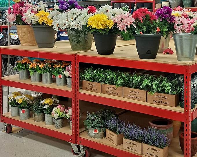 A floral section that brings permanent springtime to Mississippi homes. "Thyme for Courage" boxes sit below, offering both herbs and motivation at bargain prices.