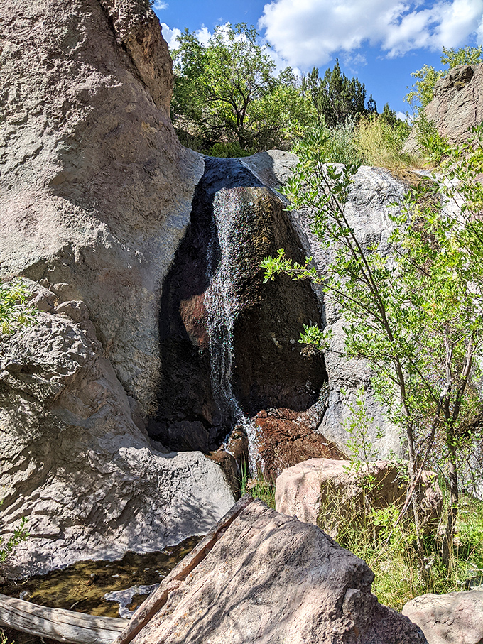 Water finds a way, carving this elegant cascade through resistant stone. Nature's version of persistence paying off in spectacular fashion.