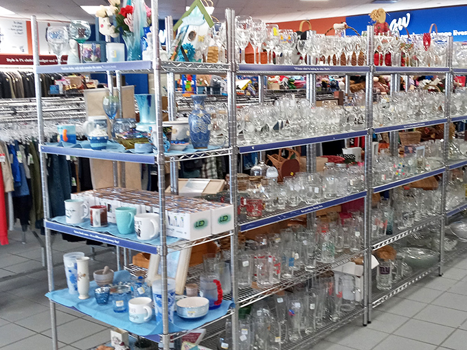 Glassware galore! From everyday tumblers to potential heirlooms, these shelves hold dinner parties waiting to happen.