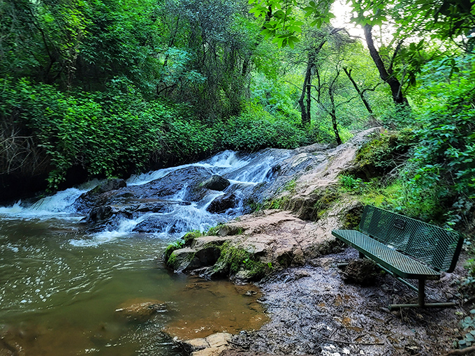 Hidden Falls Regional Park delivers the kind of serene waterfall moment that makes smartphone addiction temporarily disappear &ndash; nature's own digital detox.