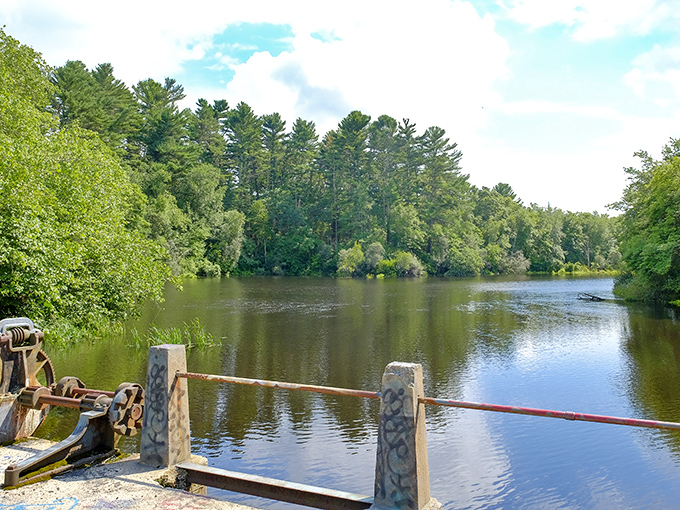 Serenity now! Horseshoe Mill's tranquil waters reflect towering pines, creating nature's perfect mirror for contemplating life's big questions &ndash; or just napping.