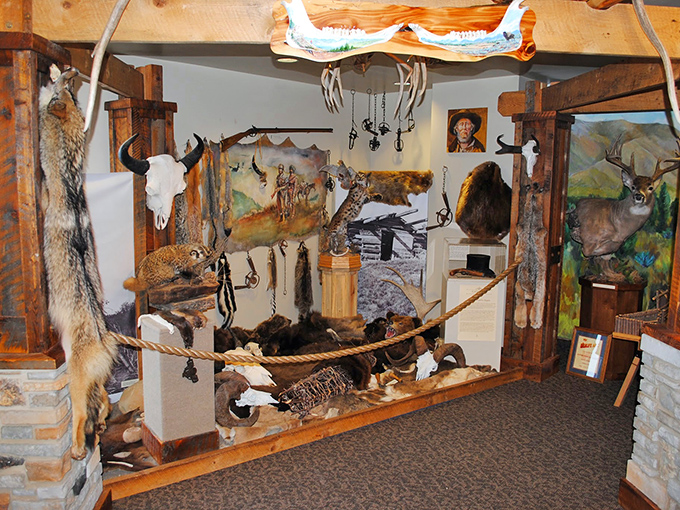 History preserved with a dash of wilderness. The local museum celebrates Hyrum's heritage with displays that connect past to present.