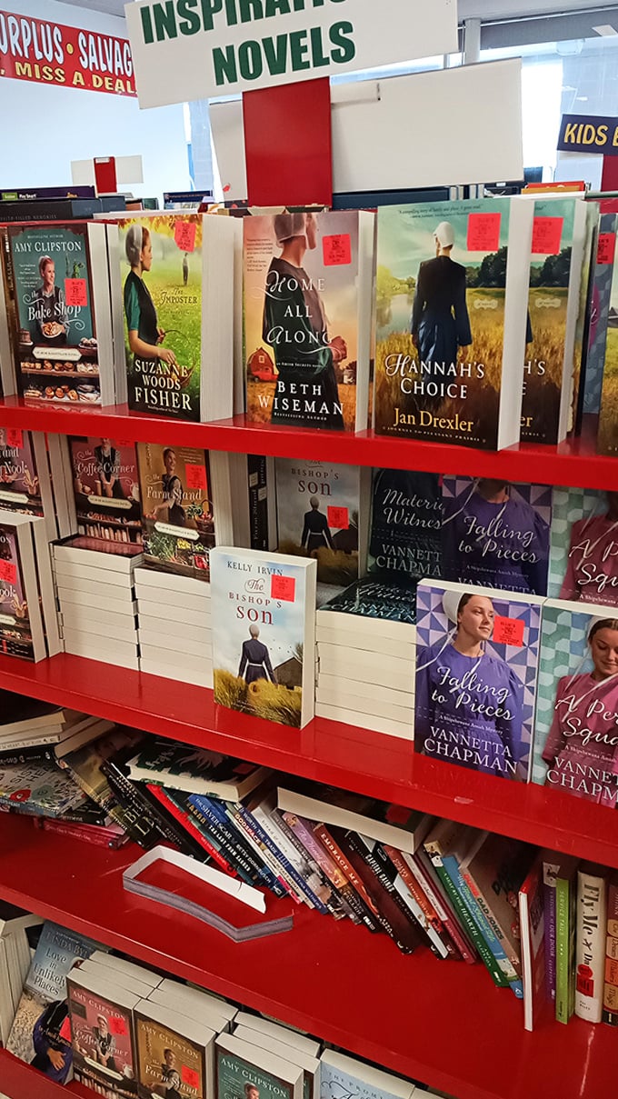 Stories waiting to be discovered. These Amish-themed novels offer literary escapes at prices that make building your home library wonderfully guilt-free.