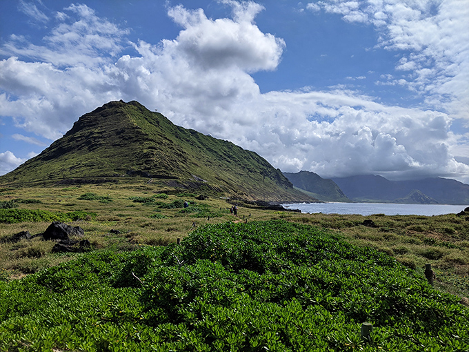 The ancient volcanic landscape creates a dramatic backdrop that makes even amateur photographers look like National Geographic pros.